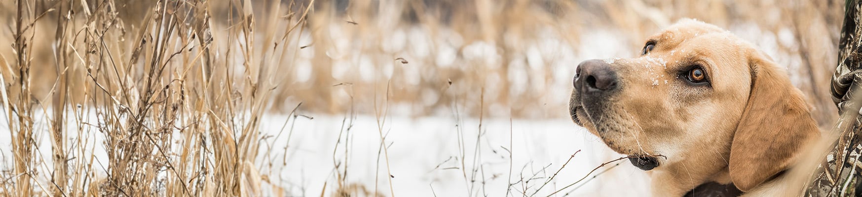 Allen Company Ruger Universal Handgun Cleaning Kit 27836