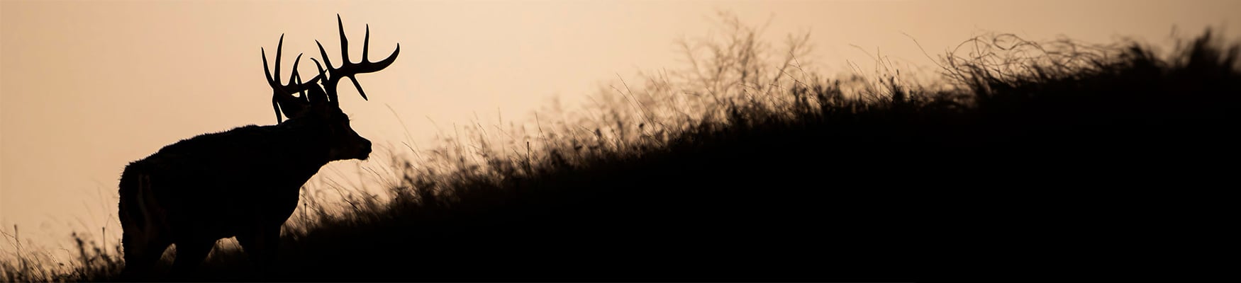 Thompson Center Contender Handgun Barrel .45 Colt/.410 ga 10" Black